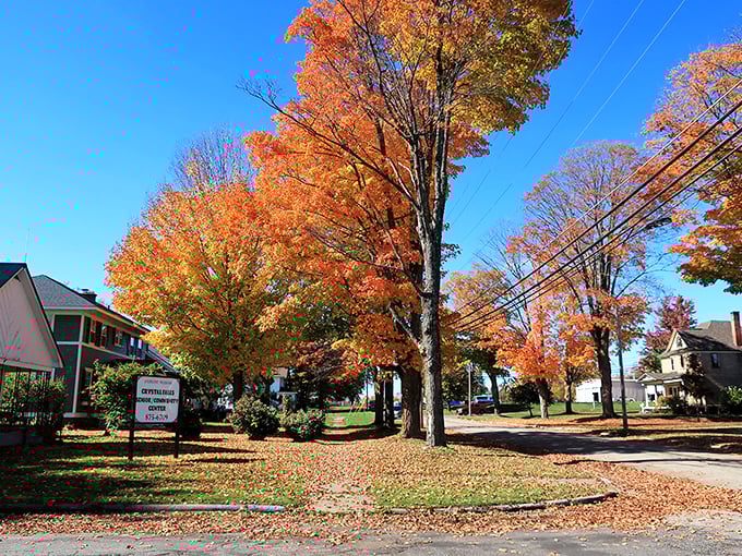 Fall foliage in Crystal Falls doesn't just change color—it puts on a spectacular show that makes leaf-peepers wonder why they'd go anywhere else.