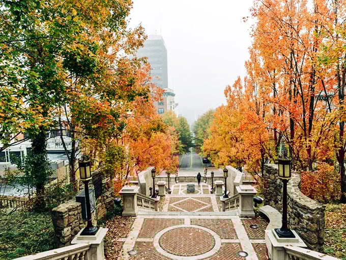 Monument Terrace in autumn glory—where falling leaves and rising steps create nature's most beautiful stairway to heaven.