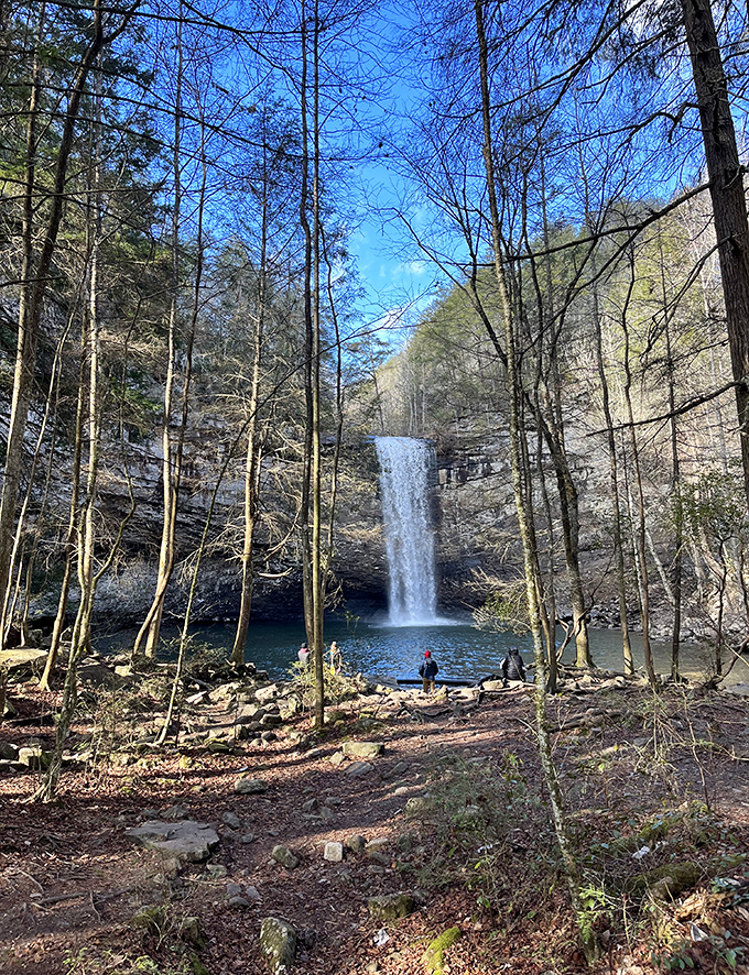 The waterfall reveals itself through winter-bare trees like nature's ultimate shower scene, minus the Psycho soundtrack and with significantly better views.