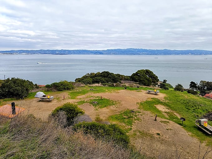 Camping with a view that makes hotel penthouses jealous—this humble patch of earth offers million-dollar vistas for budget-friendly memory-making.