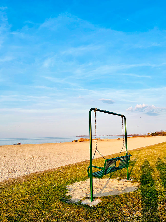A swing with the best view in Ohio—where contemplating life's big questions comes with a side of Lake Erie's endless horizon and occasional bald eagle flyby. 