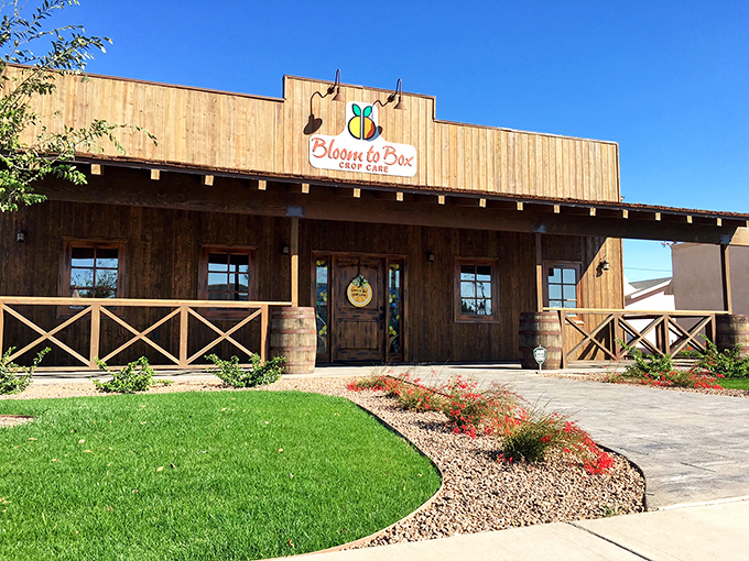 Bloom to Box Crop Care brings rustic charm to agricultural services – where farming meets Western aesthetic in a building that means business.