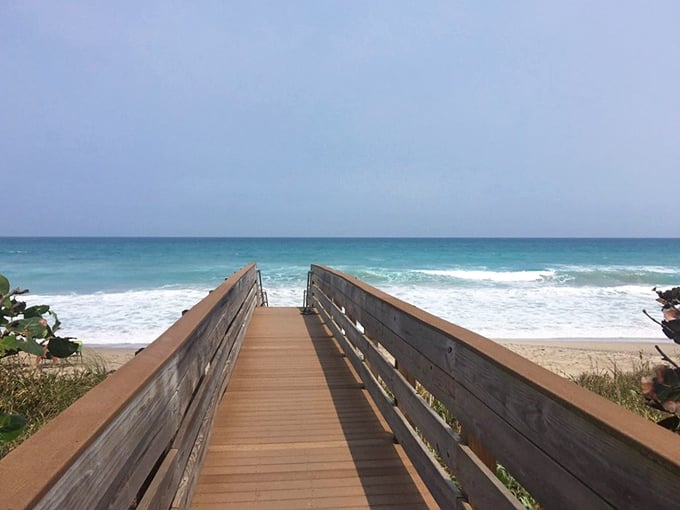 The Atlantic's personal red carpet. This weathered boardwalk invites you to make your grand entrance to waves that have awaited your arrival.