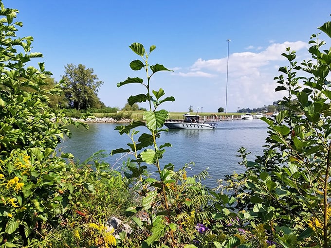 Beyond the greenery, boats glide through protected waters—a reminder that Breakwater Beach offers adventures both on shore and off.