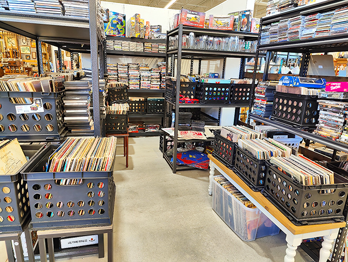 Vinyl paradise where music lovers can dig through history one album at a time – digital streaming has nothing on this tactile experience.