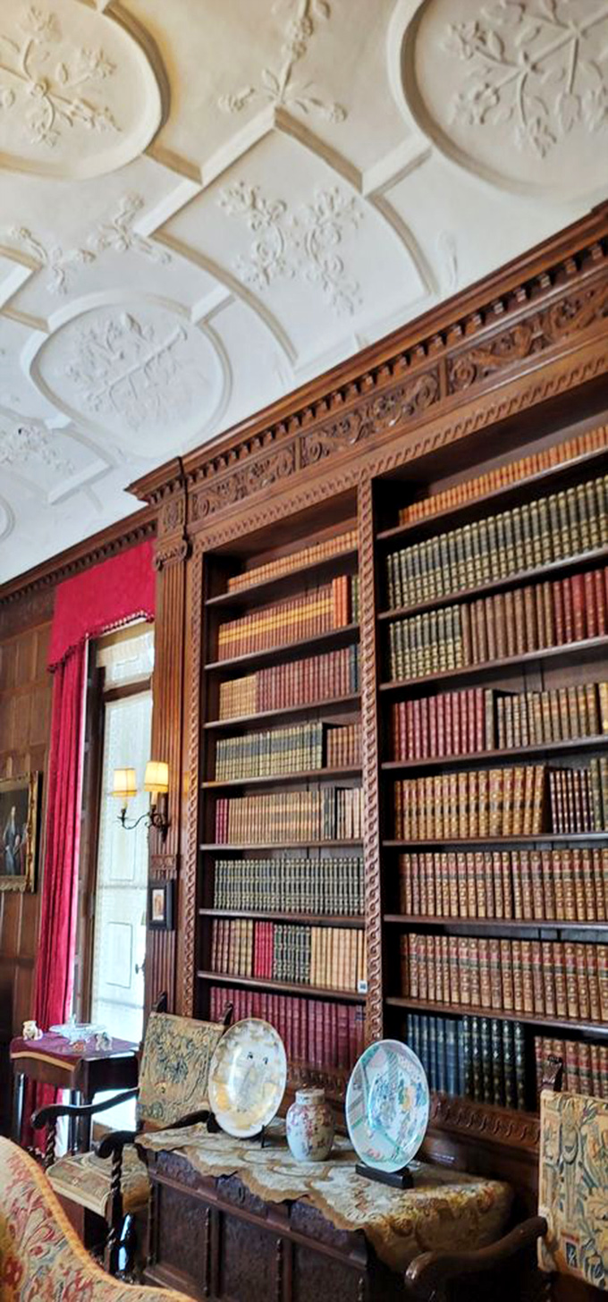 A library where books aren't just read—they're revered. Each leather-bound volume is both decoration and intellectual treasure.
