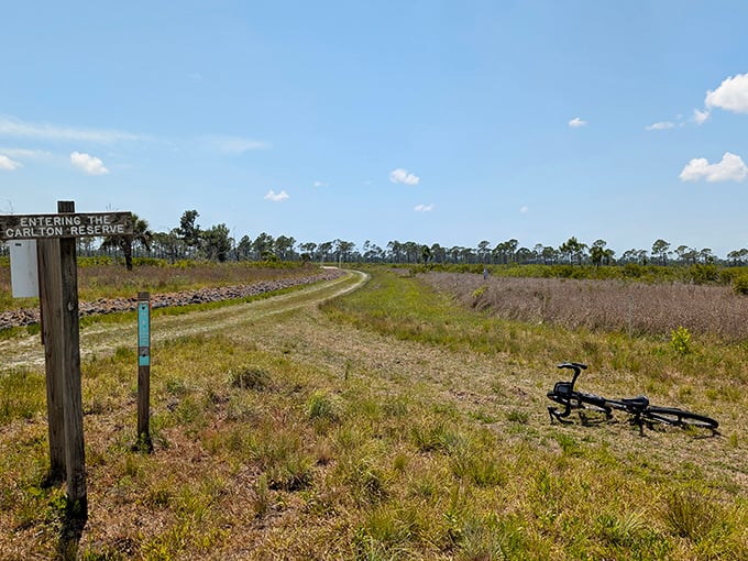 Where the wild things are – Carlton Reserve's untamed landscape offers solitude so complete you'll forget you're just miles from civilization.