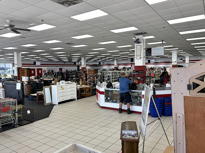 The jewelry counter—final frontier of thrift store treasure hunting, where patience and a sharp eye can yield spectacular rewards.