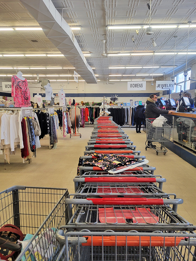 Shopping carts line up like eager racehorses at the starting gate, ready to be filled with treasures that cost less than your morning latte.
