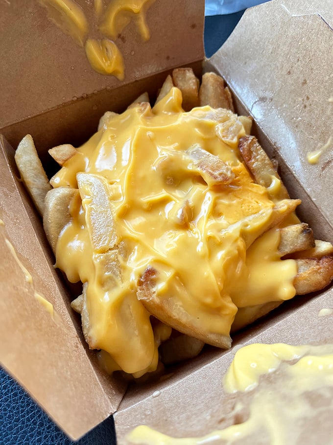 Cheese fries that make you question why you've wasted time eating regular fries your entire life. Molten gold atop potato perfection.