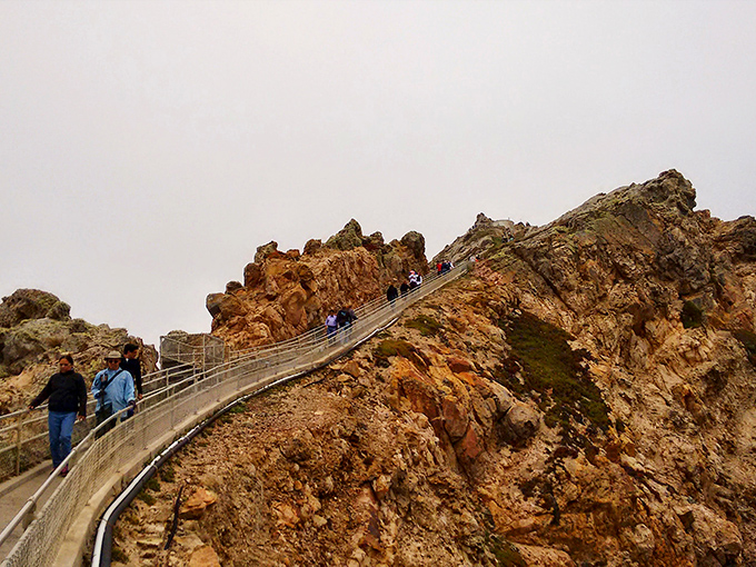 The path to the lighthouse isn't for the faint of heart – it's Mother Nature's way of saying "earn that view, my friend."