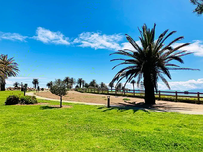 The grounds surrounding the lighthouse offer that perfect blend of manicured lawns and wild coastal beauty—like nature hired a really good stylist.