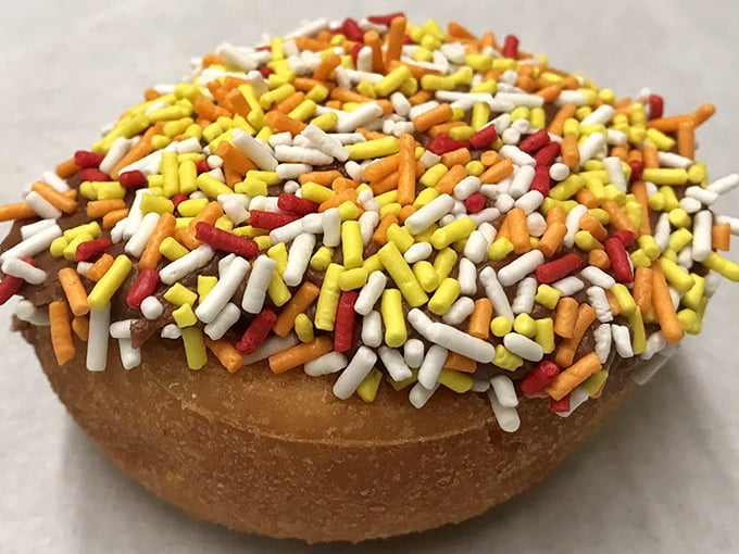 Fall-colored sprinkles transform a simple donut into a celebration—proof that sometimes happiness is just sugar in technicolor.