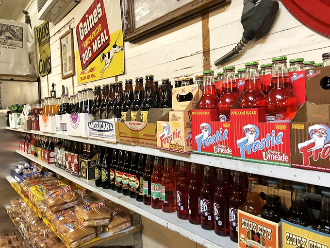 Craft sodas in glass bottles—because sometimes happiness is as simple as that satisfying "pop" when you twist off the cap. 