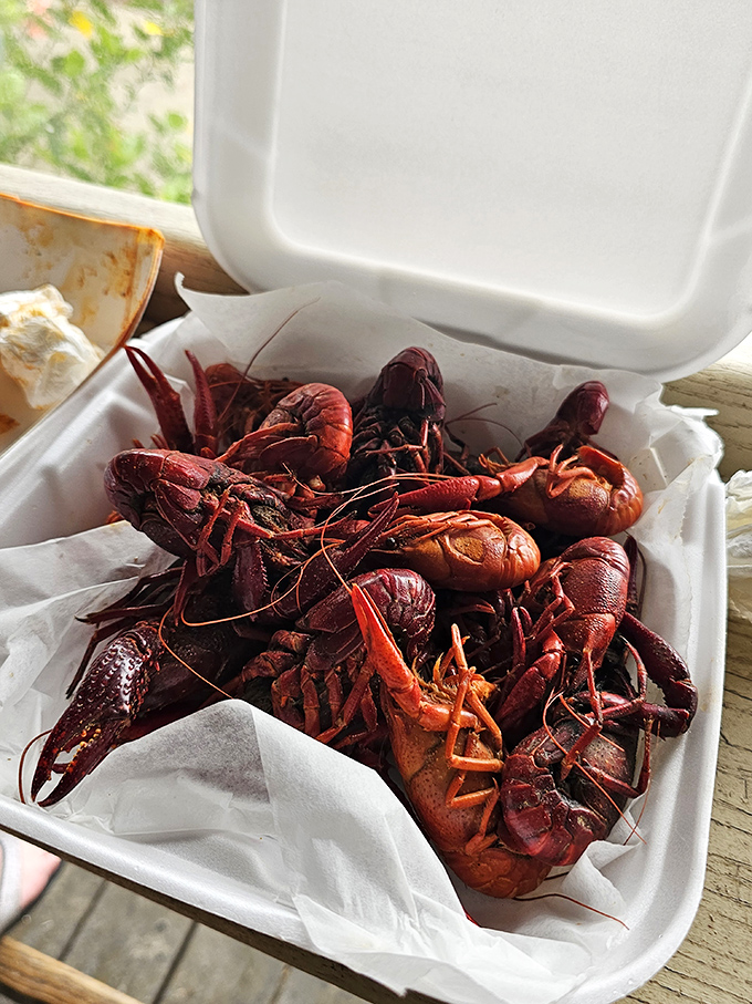 These crawfish aren't just seafood; they're little red ambassadors from the waters of Florida's Nature Coast.