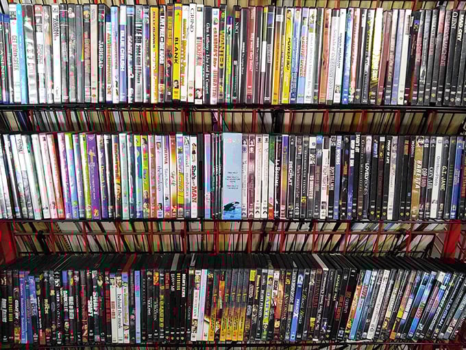 The DVD collection is a time capsule of entertainment history where forgotten films and beloved classics share equal shelf space.