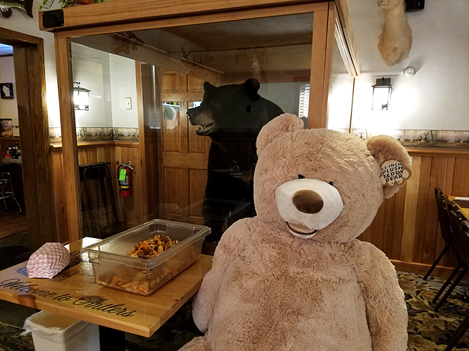 Even the teddy bear looks impressed by the taxidermy display—where else can you enjoy prime rib while a black bear stands sentinel?