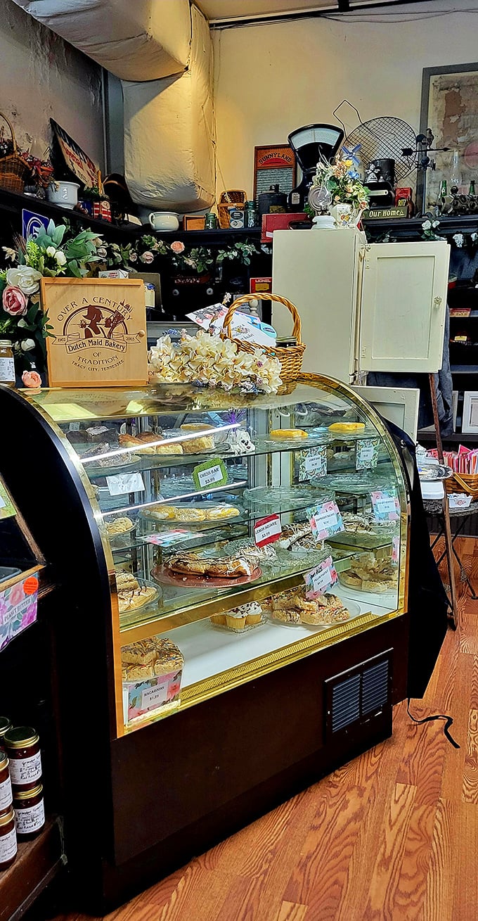 The display case—where diet plans go to die. Each shelf showcases baked treasures that make choosing just one an exercise in delicious futility.