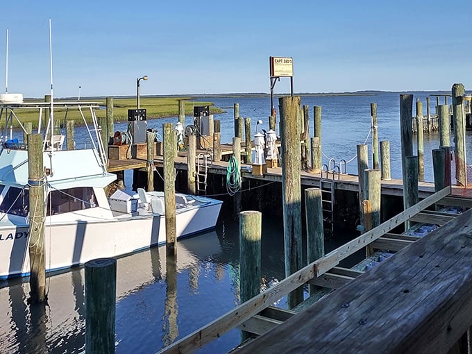 The working marina reminds you that your dinner probably arrived by boat before it reached your plate—seafood doesn't get fresher.