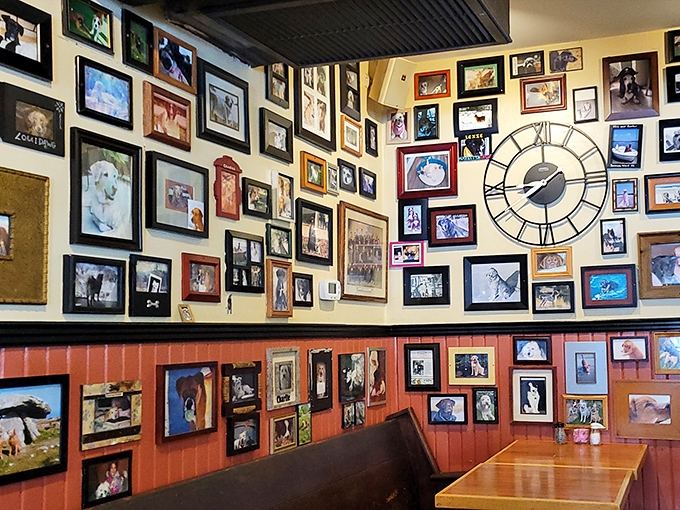 The legendary dog wall where every frame tells a tail—er, tale. This isn't decoration; it's a community album spanning years of loyal customers.