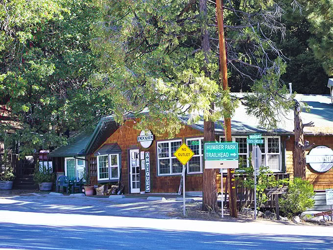 The Humber Park Trailhead building – where adventures begin and hikers get that gleam in their eye that says, "See you when I see you."