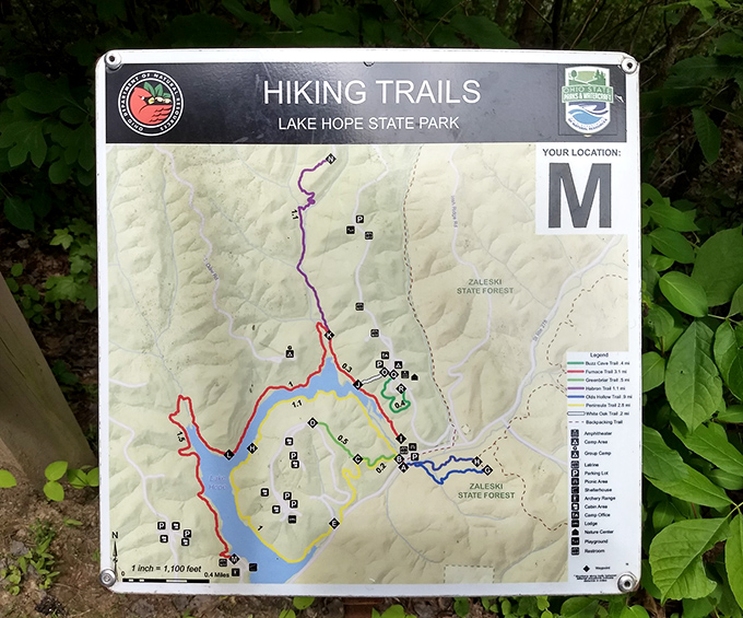 The treasure map every outdoor enthusiast dreams of—Lake Hope's trail system laid out like nature's own theme park, minus the overpriced snacks.