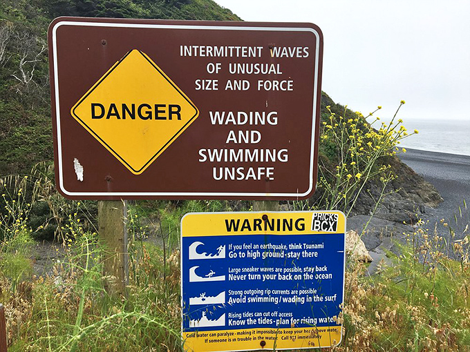 Nature's warning system—these signs aren't kidding about the dangers, but the risk is part of what keeps this place so pristine.