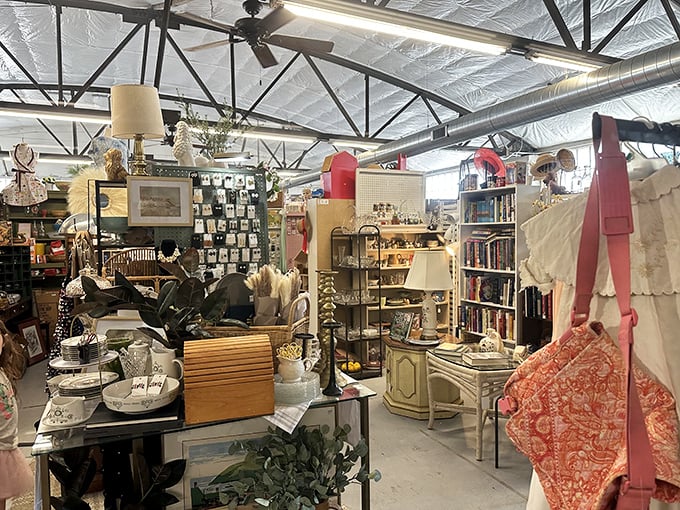 Organized chaos at its finest. This section proves that "more is more" when it comes to antique displays—a maximalist's dream come true.