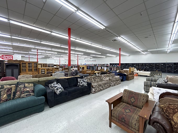 The furniture showroom stretches into the distance like a secondhand Narnia, where every sofa has a story and every chair a past life.