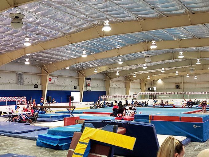 The community center hosts everything from gymnastics to senior activities, proving Sunbury invests in quality of life for residents of all ages.