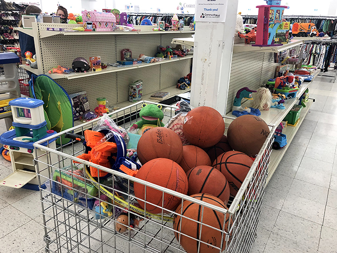 The toy section—where basketballs and plastic dinosaurs coexist in perfect harmony, waiting for kids who don't mind pre-loved play potential.
