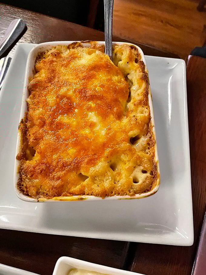 Lobster mac and cheese with a perfectly browned crust—comfort food that's had a sophisticated glow-up without forgetting its roots.