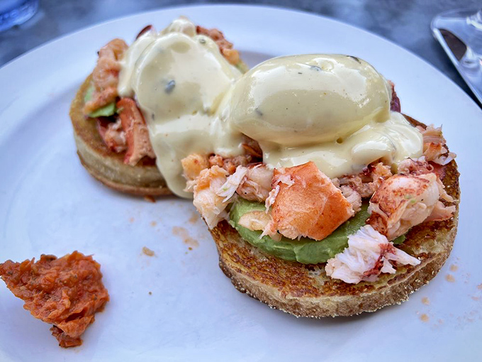 Lobster Benedict that makes you question all other breakfast choices—chunks of sweet meat nestled on avocado islands in a hollandaise sea. 