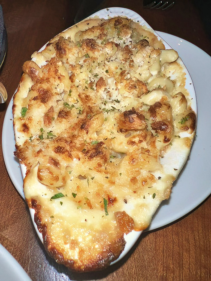 Creamy mac and cheese that proves comfort food can be elevated without losing its soul-warming powers.