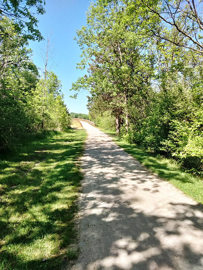 Meyerholtz Park's tree-lined walking path invites leisurely strolls where nature provides better entertainment than anything on your streaming services.