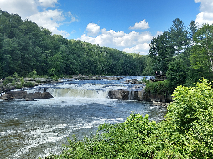 Ohiopyle Falls demonstrates water's patient power. These falls weren't made in a day, but over millennia—nature's lesson in magnificent persistence.
