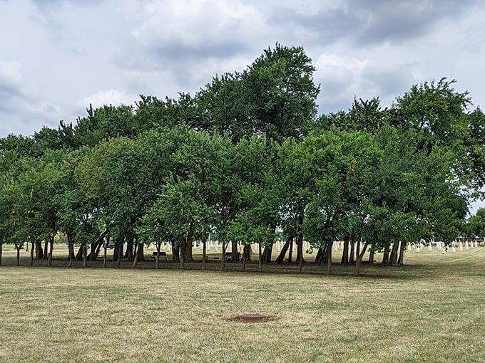 The Osage orange tree line creates a natural border for the Field of Corn. Agricultural history preserved in both living and concrete forms.