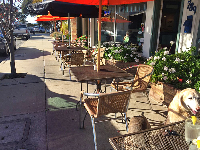Outdoor tables where ocean breezes season your meal for free. The perfect spot for people-watching with a side of seafood.