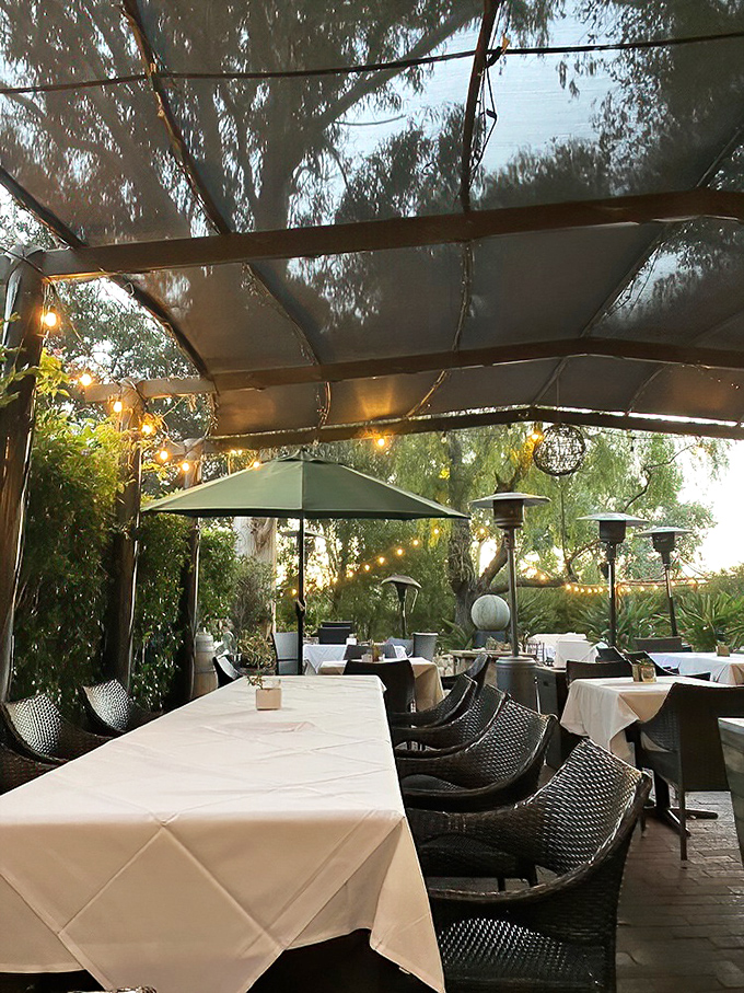 Outdoor dining under string lights and canvas—because sometimes nature makes the best dining companion.