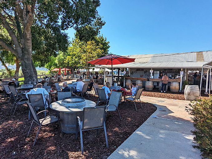 California outdoor dining at its finest – where wine barrels become tables and oak trees provide natural ambiance. Al fresco eating as it should be.