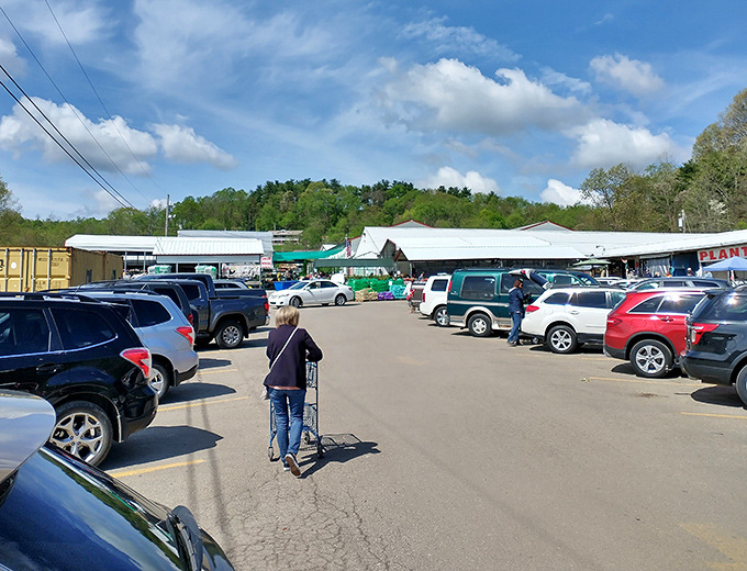 The bustling parking lot tells the story—locals know where the deals are. Each cart heading to a vehicle carries potential home improvements and pocket-friendly prices.