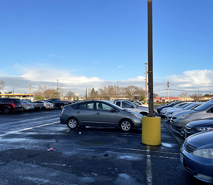 Even the parking lot fills up at Eco Thrift—a testament to Sacramento's understanding that one person's castoffs become another's treasures.