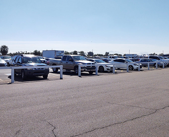 Parking paradise—where the real treasure hunt begins after you've filled your trunk with the day's spectacular finds.