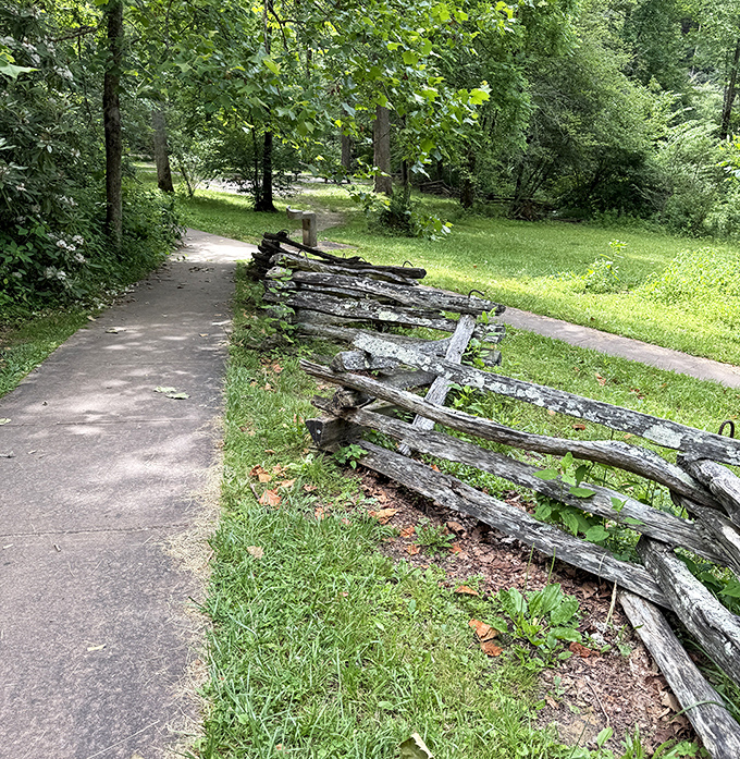 The path less photographed – this humble walkway has witnessed countless expressions of awe without demanding any attention for itself.