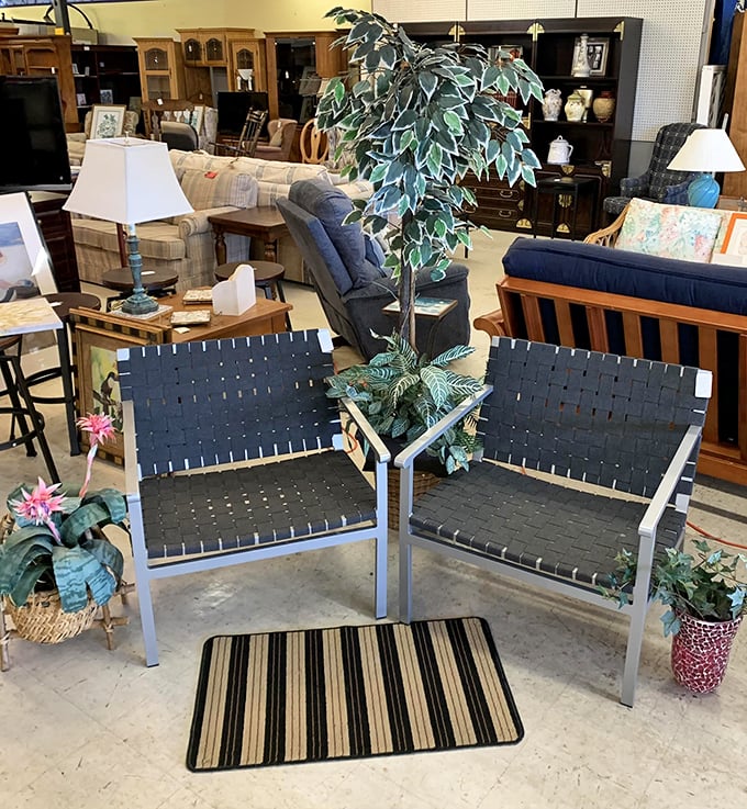 Modern patio chairs that say "I'm sophisticated but approachable"—perfect for sipping morning coffee or evening cocktails while judging the neighbors' landscaping.