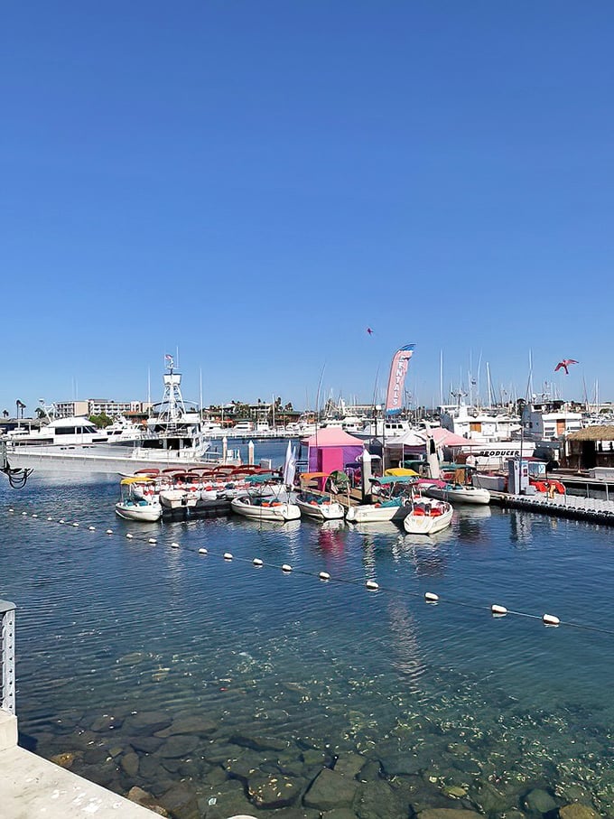 The marina view reminds you that your lunch probably arrived via one of these boats. Talk about sea-to-table dining!