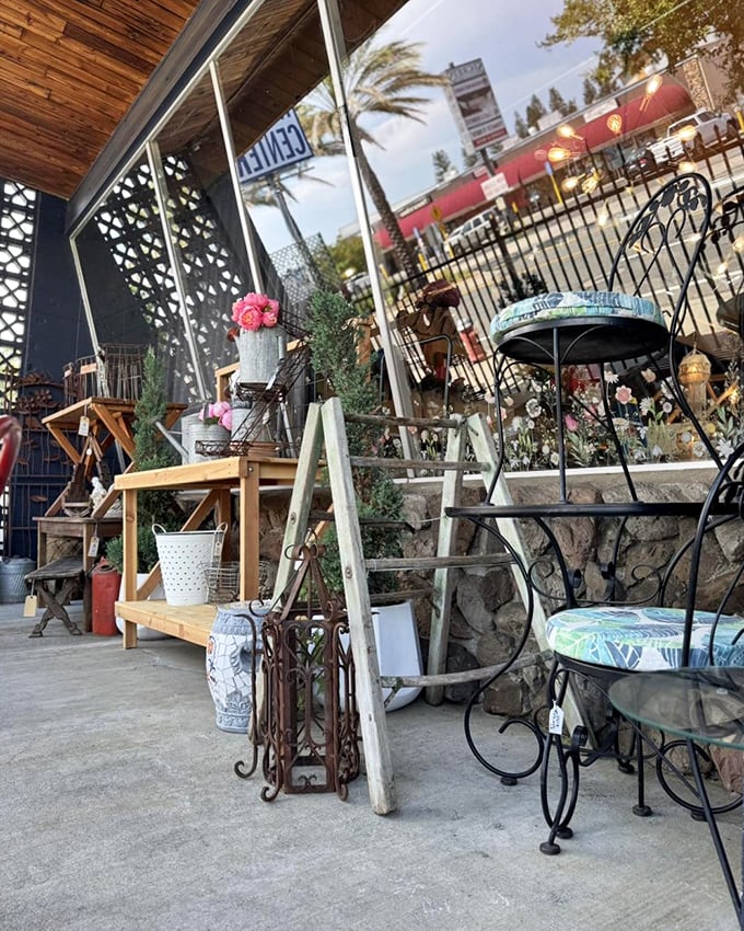 Even the outdoor section offers treasures, with wrought iron furniture that's weathered the decades better than most Hollywood careers.
