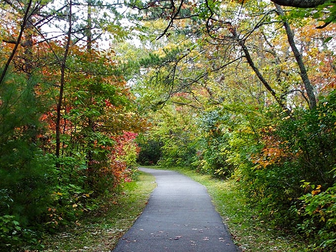 Autumn transforms this pathway into nature's red carpet. No paparazzi here – just you and the rustling leaves.
