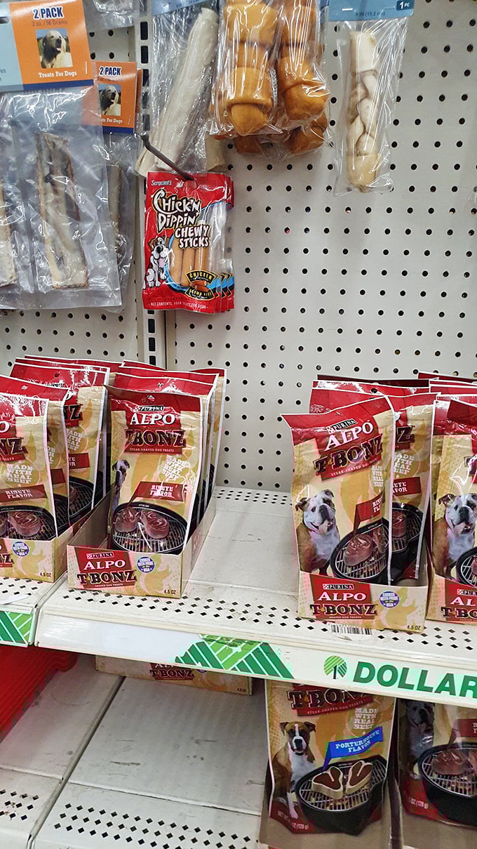 Fido deserves treats too! These pet goodies prove that being a good pet parent doesn't require dipping into the college fund.