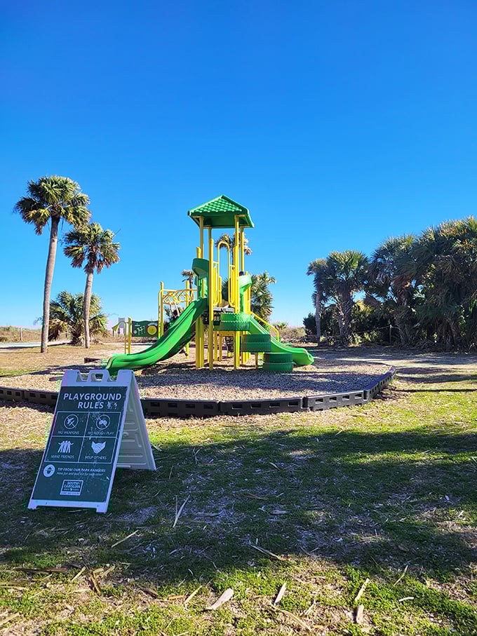Even playground equipment looks more inviting when surrounded by palm trees—childhood joy with a side of tropical paradise.